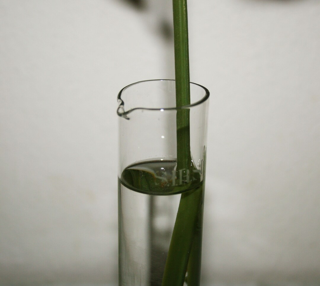 Vintage Test Tube Glass of Laboratory Chemistry, Science, Science, Mid ...