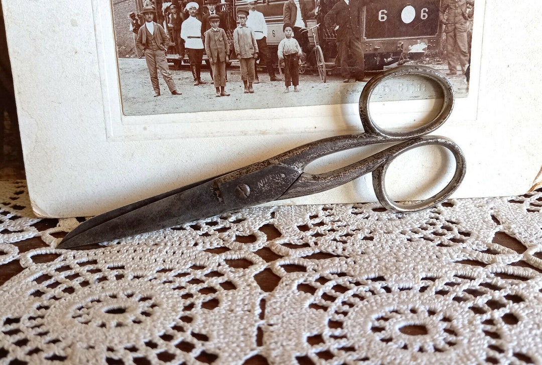 Antique Scissors, Vintage Scissors, Vintage Steel Scissors, Solingen ...