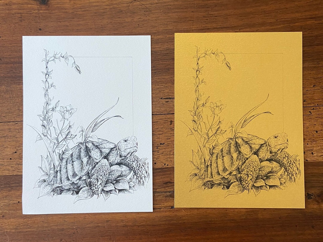 Poster And/or Postcard Fable of the Fountain Turtle - Etsy