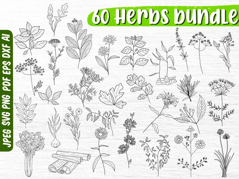 Hand-lettered Kitchen Herb SVG Bundle | Clip Art (commercial Use) - Etsy
