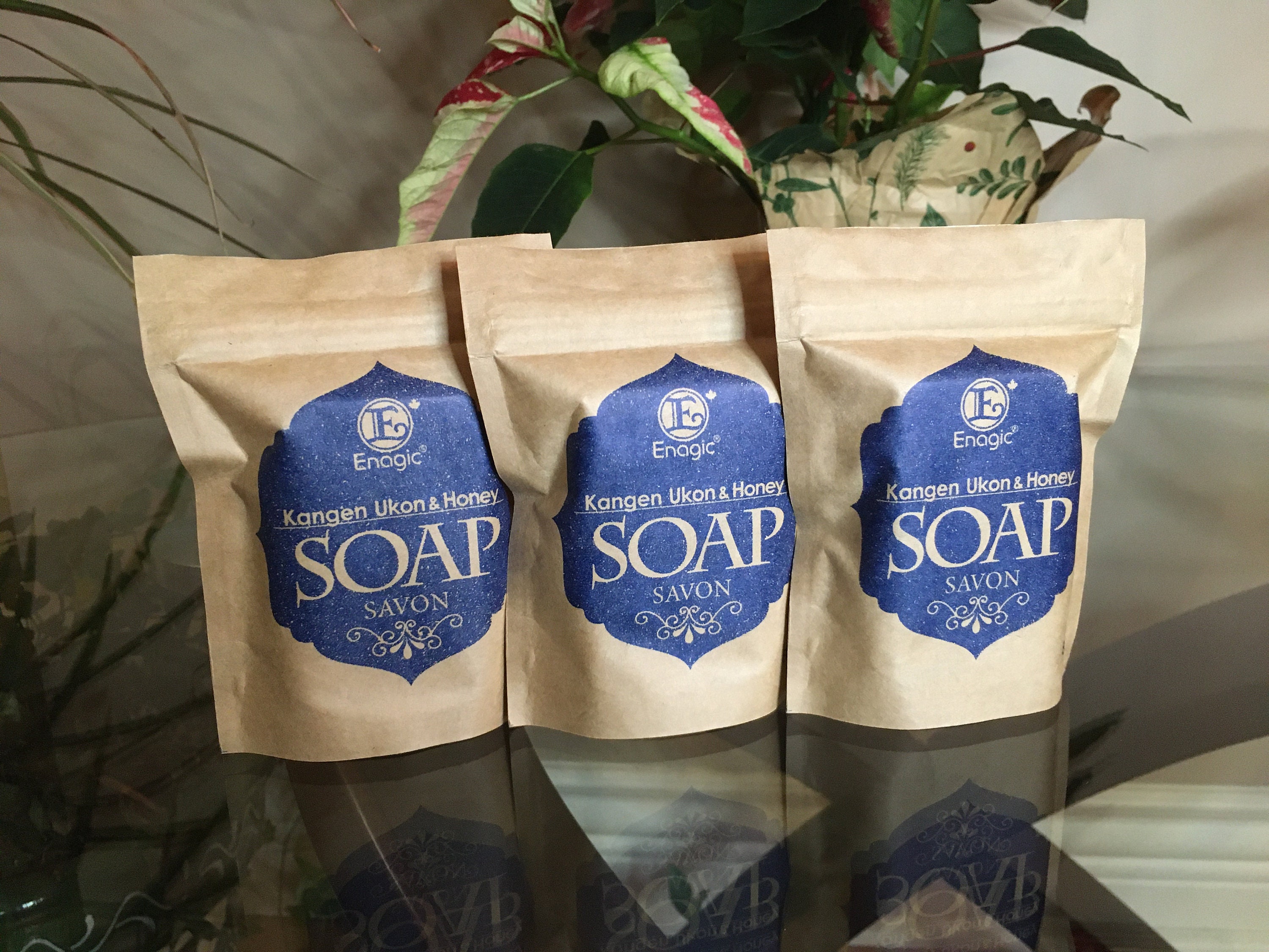 Kangen Ukon & Honey Soap - circesoftware.net