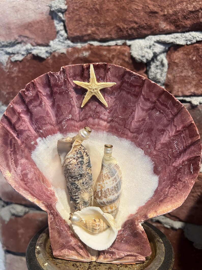 Seashell Nativity Scene, Birth of Jesus Christ. in the Scene Are the Newborn Jesus in the Manger ...