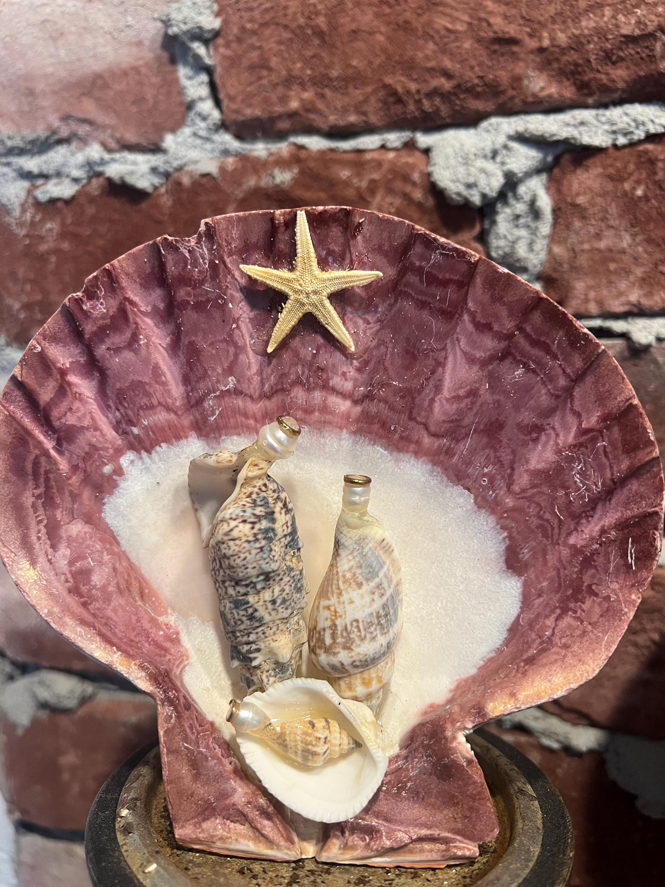 Seashell Nativity Scene, Birth of Jesus Christ. in the Scene Are the ...