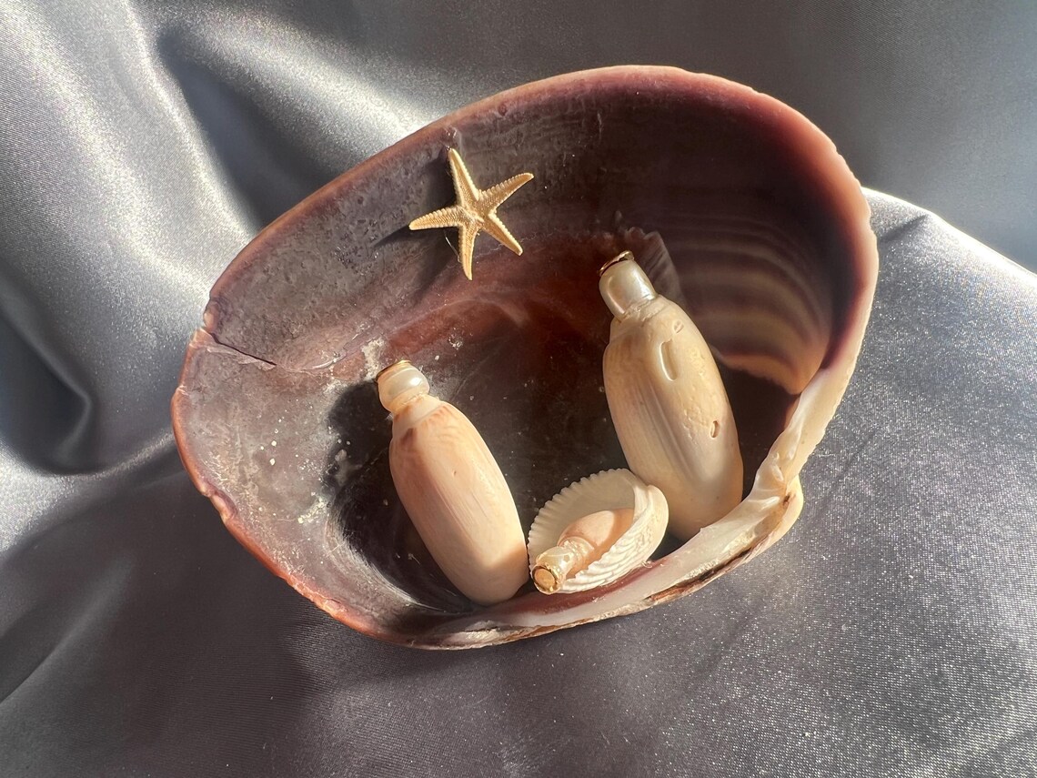 Seashell Nativity Scene, Birth of Jesus Christ. in the Scene Are the Newborn Jesus in the Manger ...
