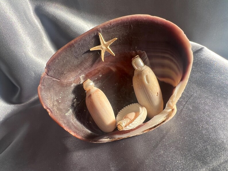 Seashell Nativity Scene, Birth of Jesus Christ. in the Scene Are the ...