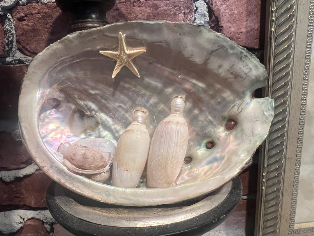 Seashell Nativity Scene, Birth of Jesus Christ. in the Scene Are the ...