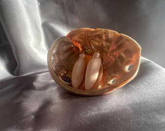 Seashell Nativity Scene, Birth of Jesus Christ. in the Scene Are the ...