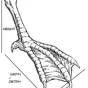 Duck Splint Chicken Splints Large and Small 3 Pack Large Medium Small ...