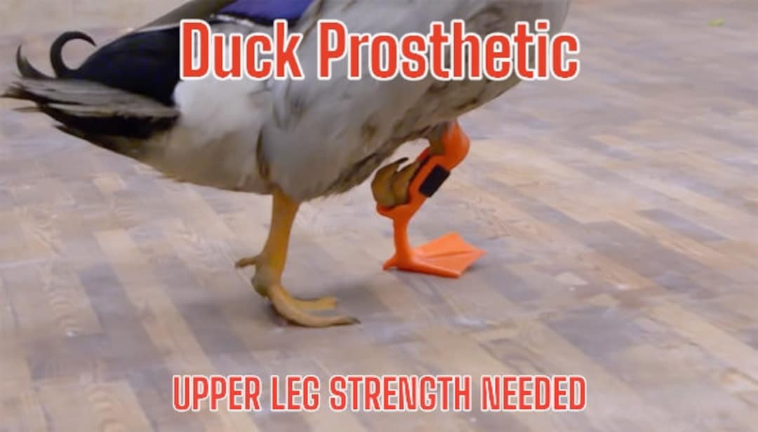 Custom Duck Prosthetic Leg Upper Leg Strength Needed Please Read Description and Message With ...