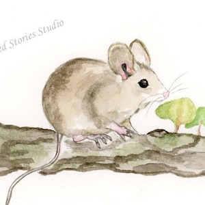 Cute Field Mouse- Fine Art Print- Gift for a Nature Lover- - Etsy