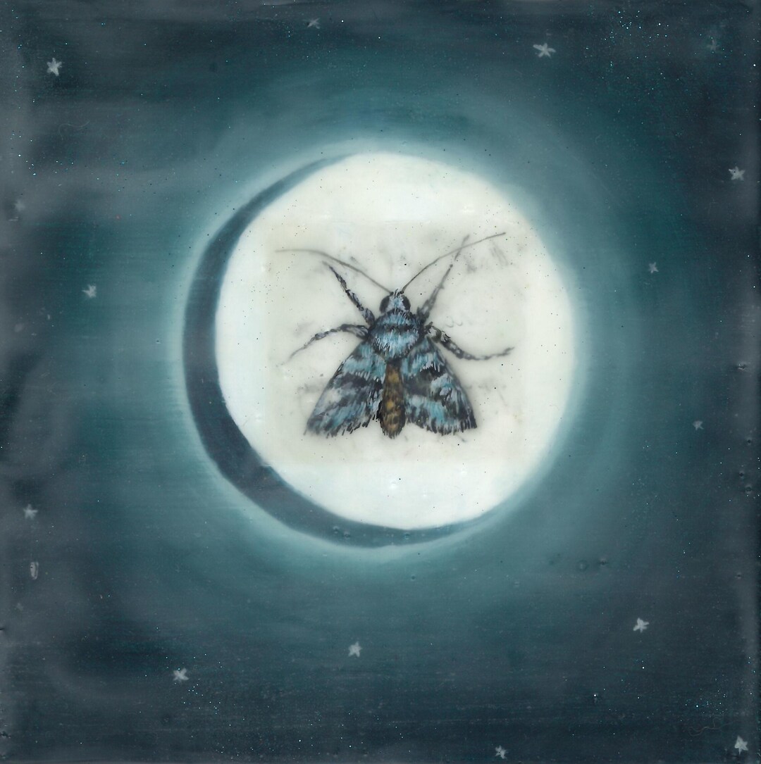 Treasure, Implicit Moth- Magical Moth is an Original Encaustic Painting ...