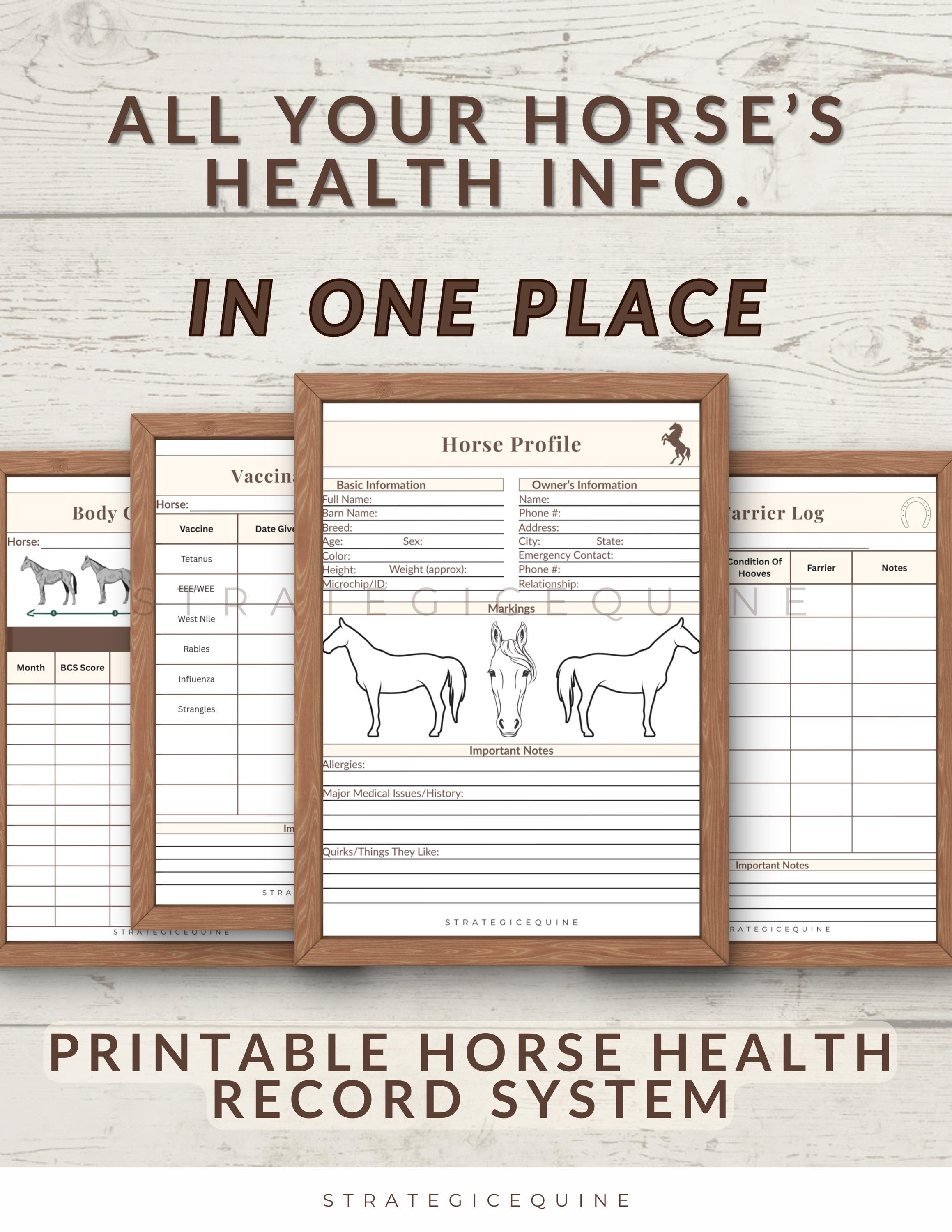 Horse Health Record Bundle | Printable Horse Care Tracker | Barn ...