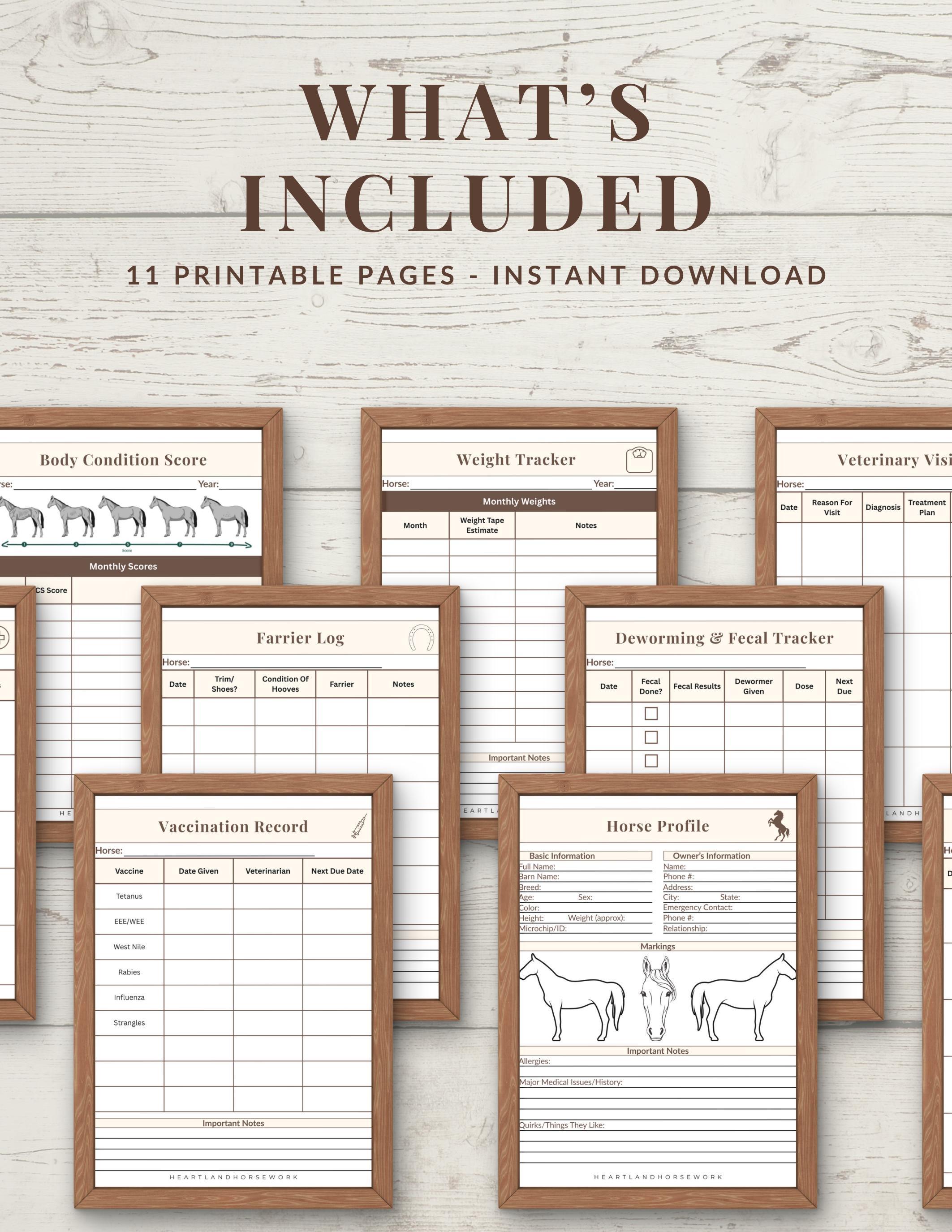 Horse Health Record Bundle | Printable Horse Care Tracker | Barn ...