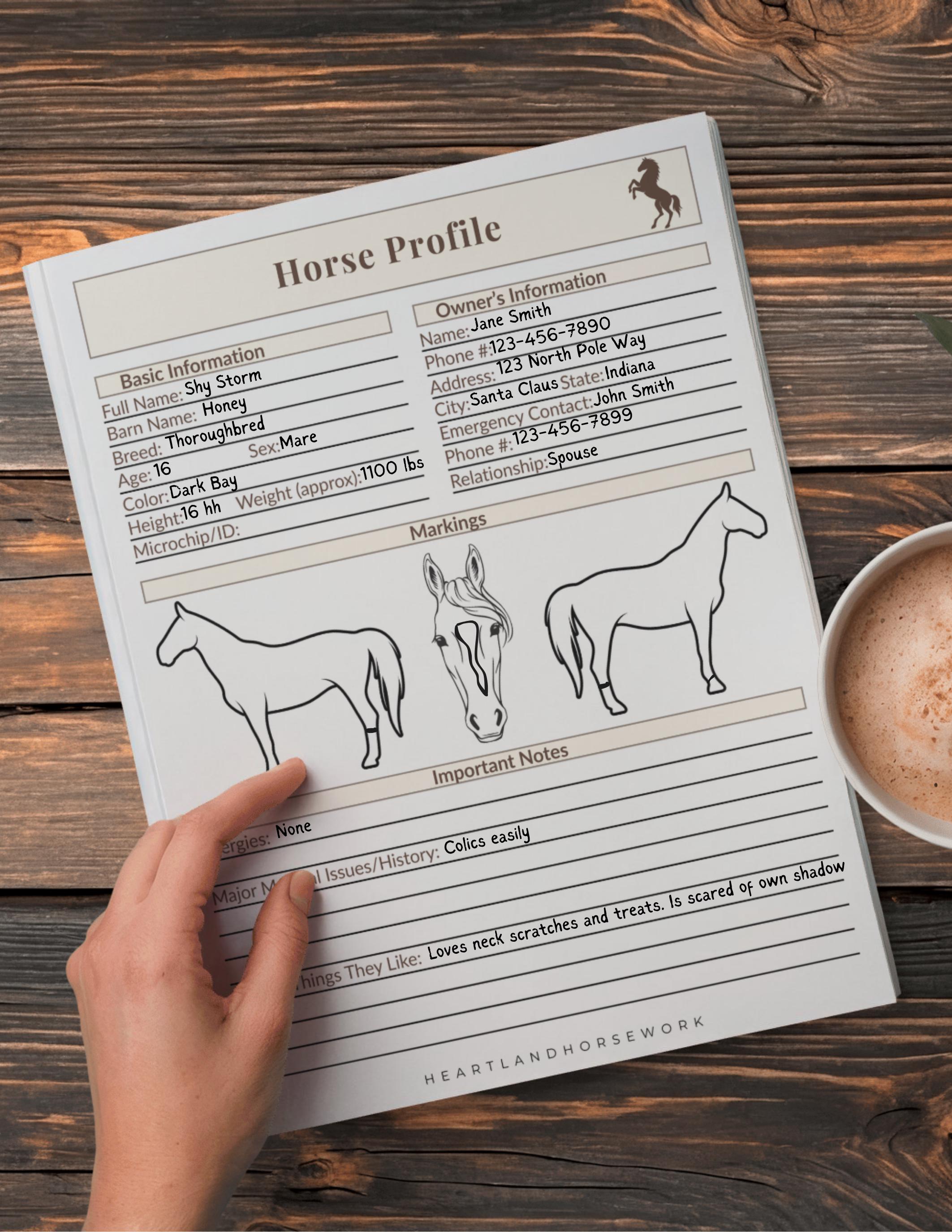 Horse Health Record Bundle | Printable Horse Care Tracker | Barn ...