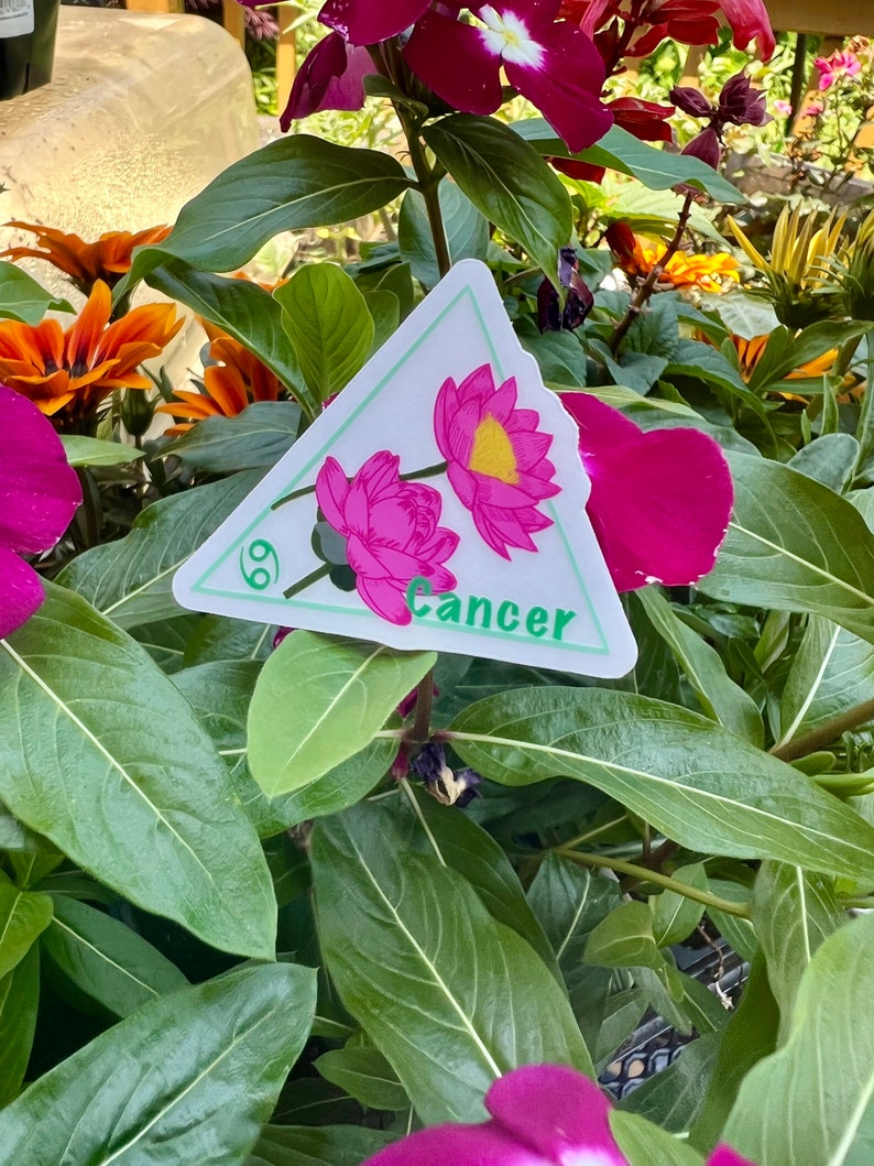 Cancer Clear Lotus Flower Sticker | Cancer | Element Sign | Lotus ...