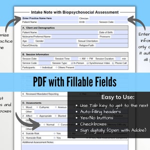 Intake Note With Biopsychosocial Assessment Template PDF | Fillable ...