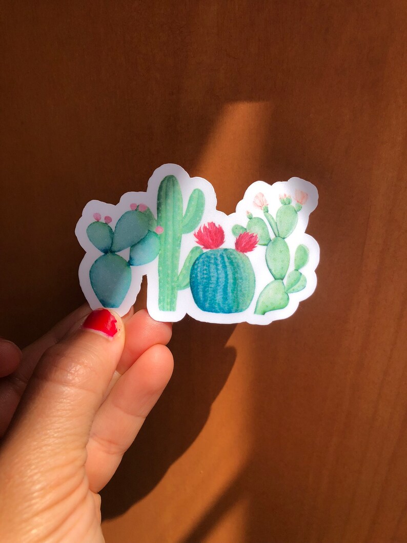 Cactus Sticker 3x2 In. - Etsy