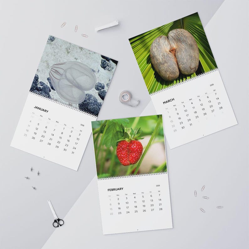 Natures Butt 2026 Calendar, Bum Calendar, Funny Calendar, Gag Gifts ...
