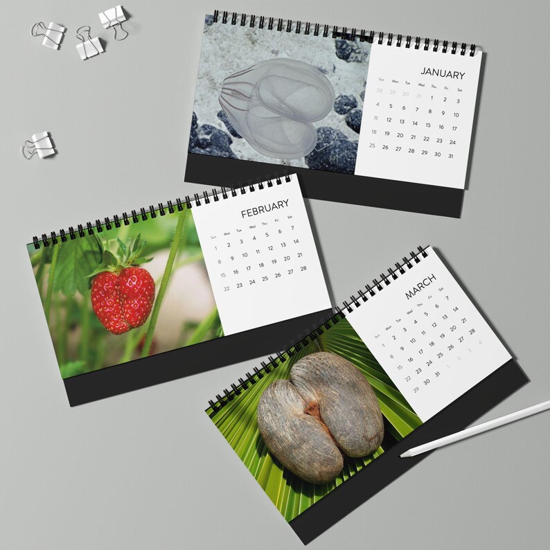 Natures Butt 2026 Desktop Calendar, Bum Calendar, Funny Calendar, Gag ...