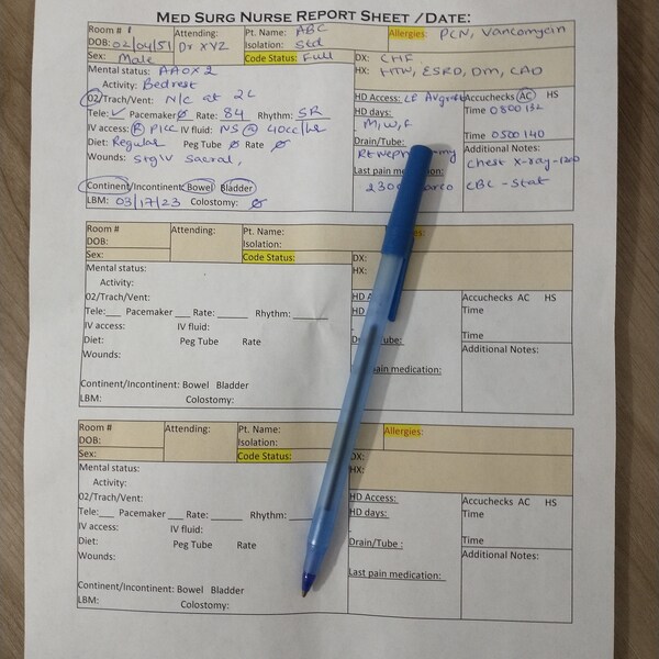 Best Nurse Report Sheet - Etsy