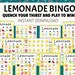 Lemonade Bingo Printable for Birthday Parties, Family Game Night ...