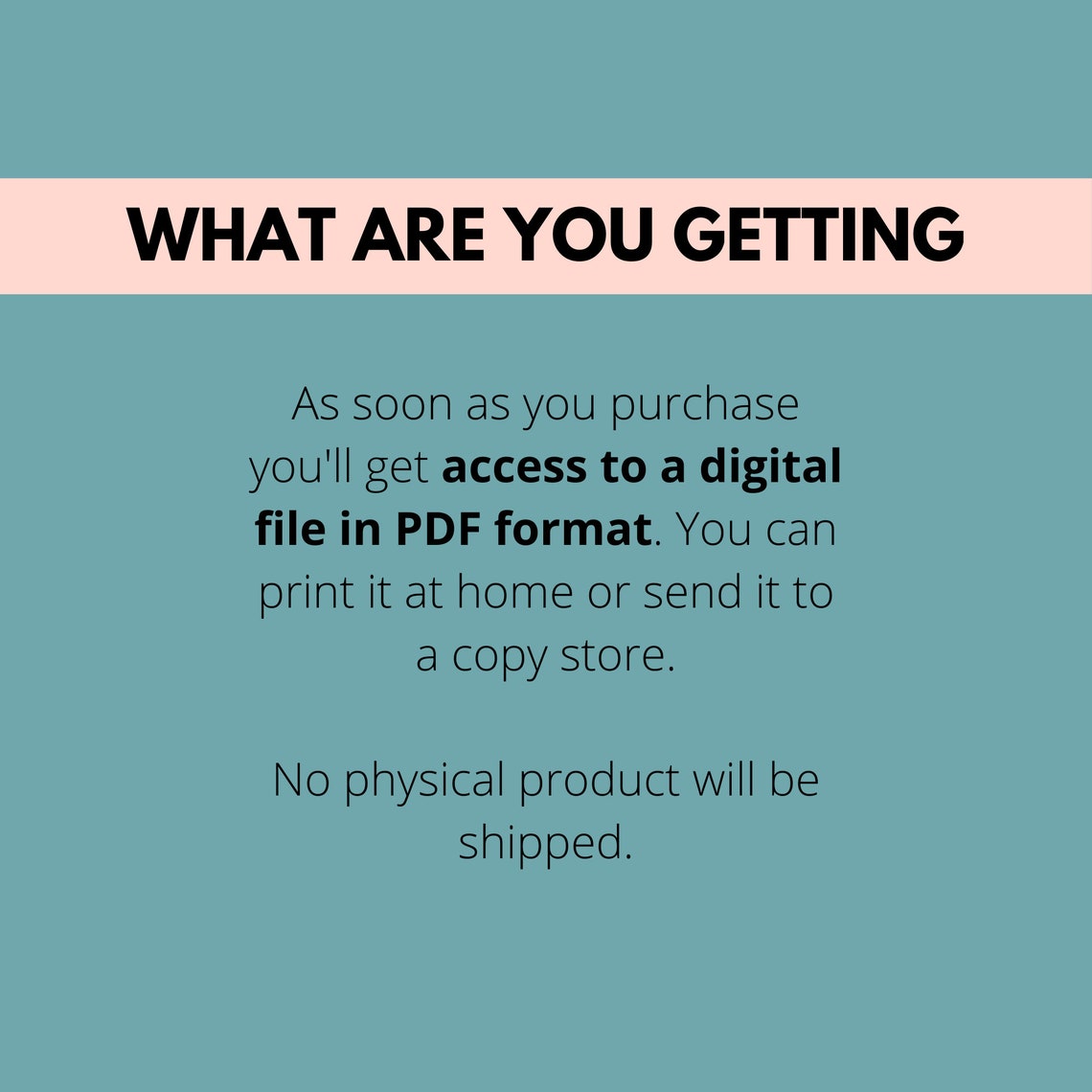 Corn Craft, Corn Life Cycle Cut and Glue, and Parts of a Corn Plant Cut ...