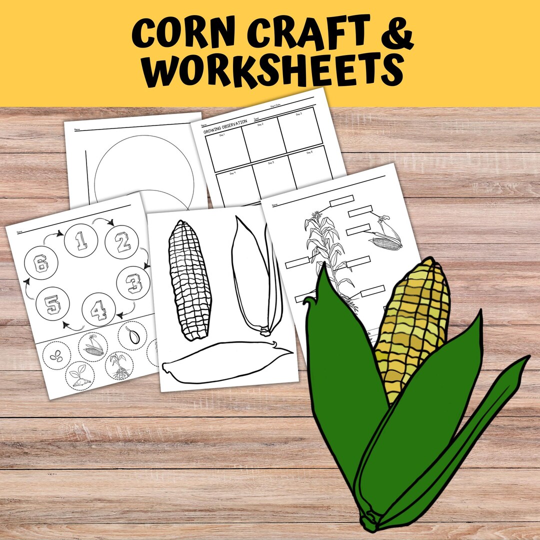 Corn Craft, Corn Life Cycle Cut and Glue, and Parts of a Corn Plant Cut ...