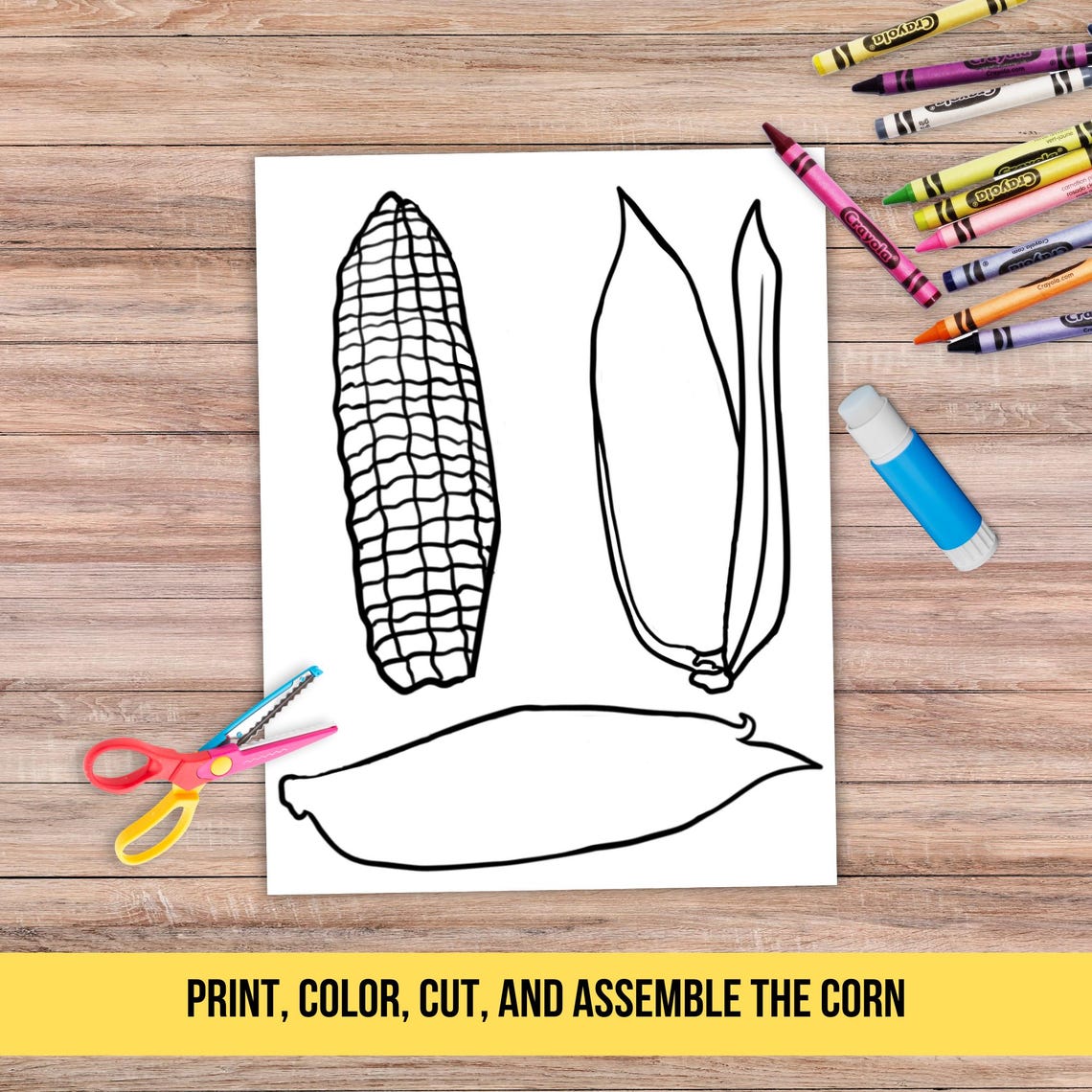 Corn Craft, Corn Life Cycle Cut and Glue, and Parts of a Corn Plant Cut ...