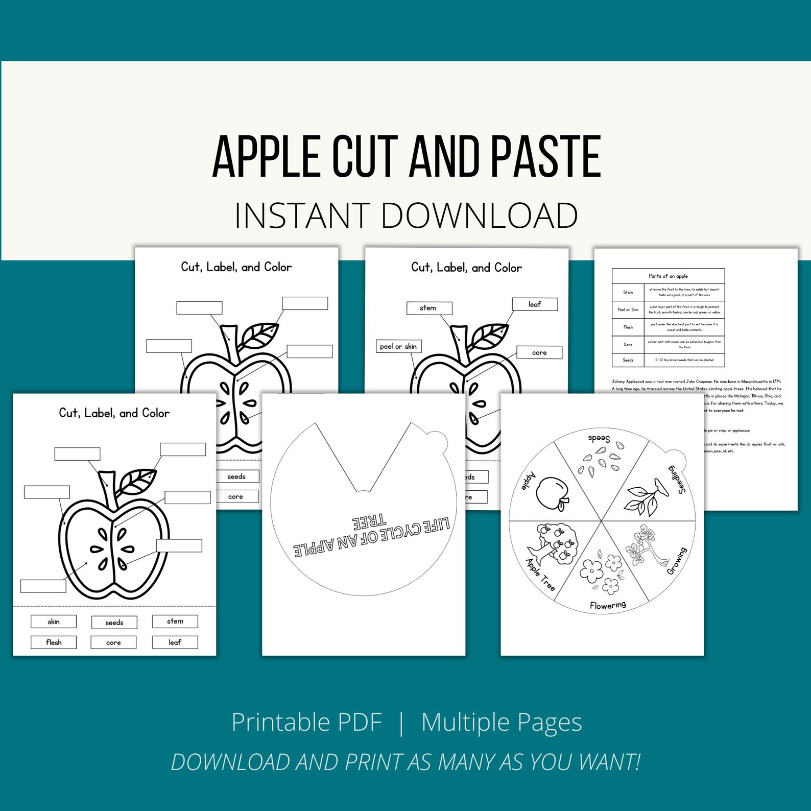 Apple Life Cycle Spinner Wheel & Apple Cut and Paste Parts With Bonus ...