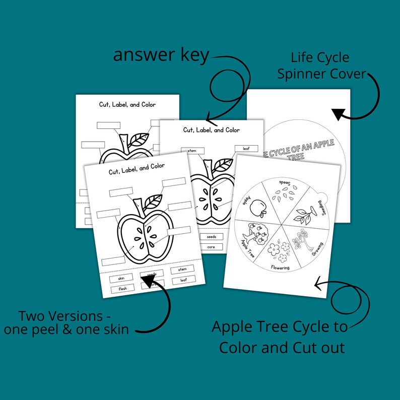 Apple Life Cycle Spinner Wheel & Apple Cut and Paste Parts With Bonus ...