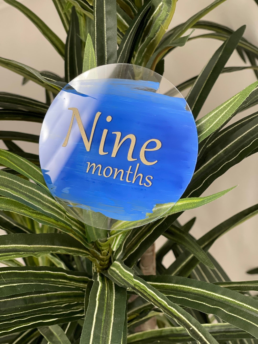 Baby Monthly Milestone Rounds Acrylic Baby Monthly Milestone - Etsy