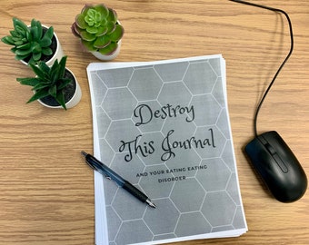 Destroy This Journal - Etsy