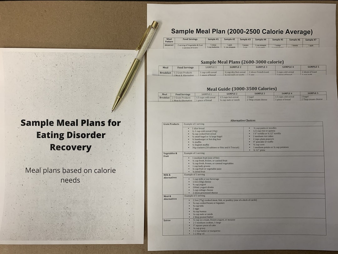 Meal Plans for Eating Disorder Recovery PDF - Etsy