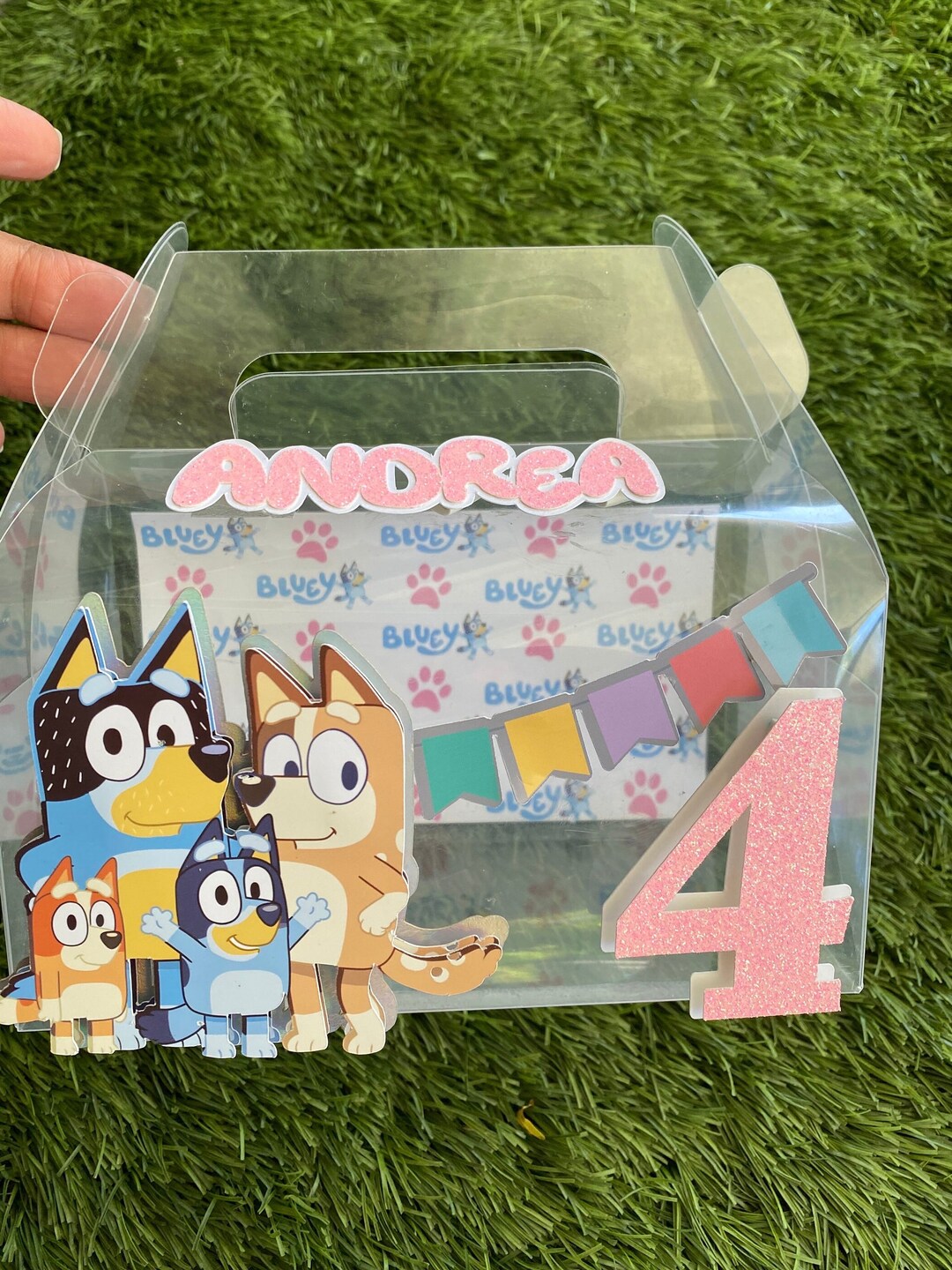 Goodie Boxes Bluey for Boys or Girls / Bluey Party - Etsy