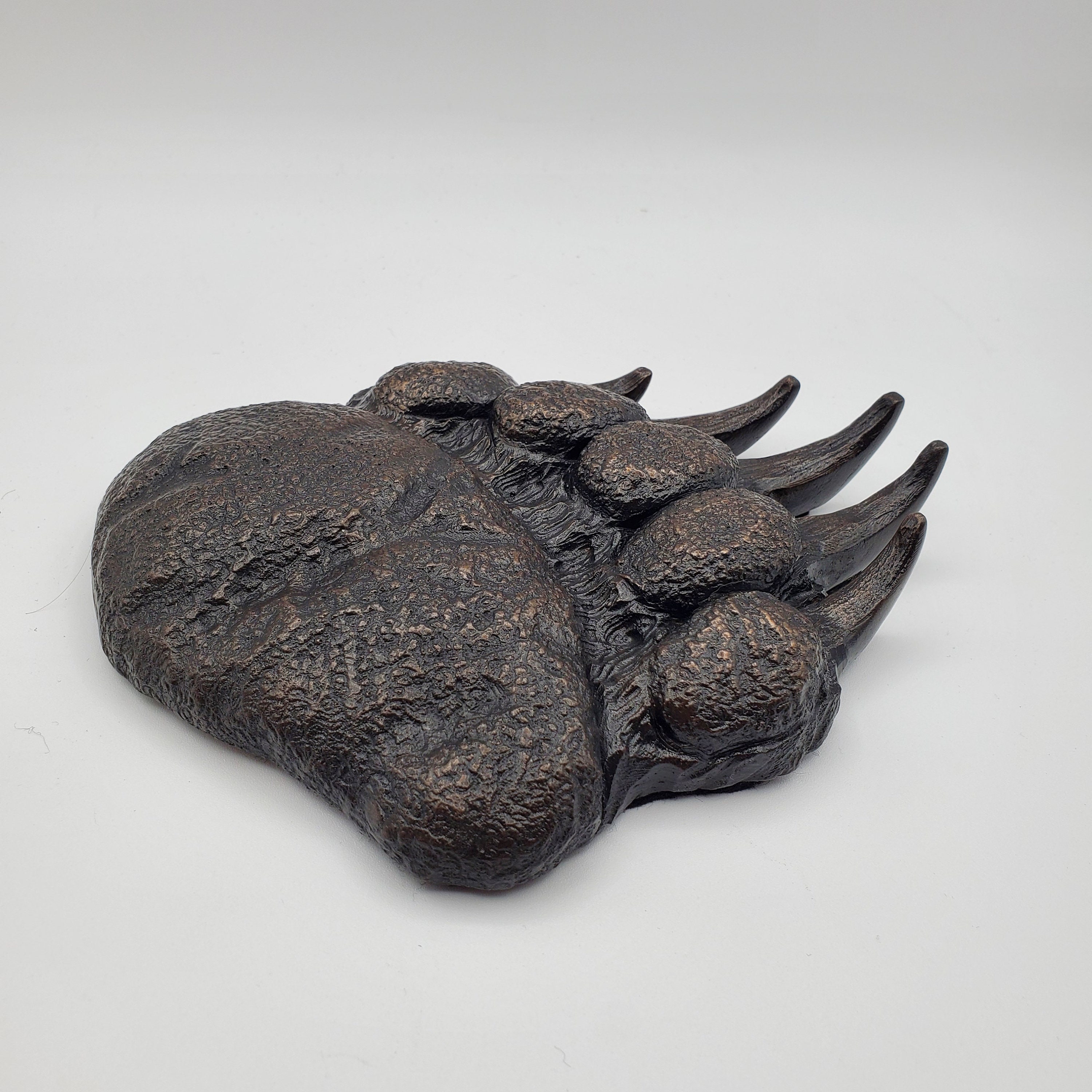 Left Bear Paw - Bear Claw - Bear Track - Cold Cast Bronze - Grizzly ...