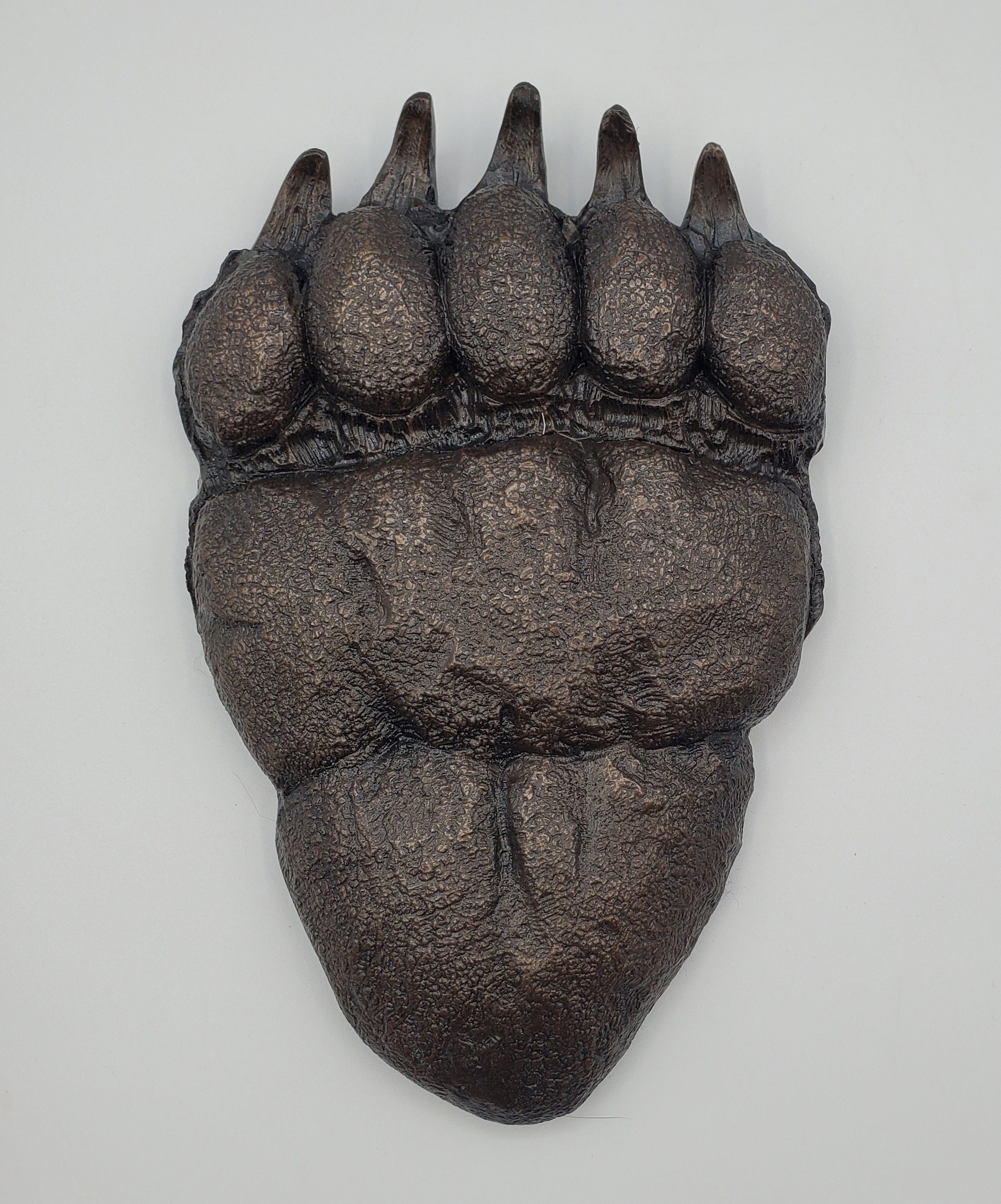 Left Back Bear Paw - Bear Claw - Bear Track - Cold Cast Bronze - Track ...
