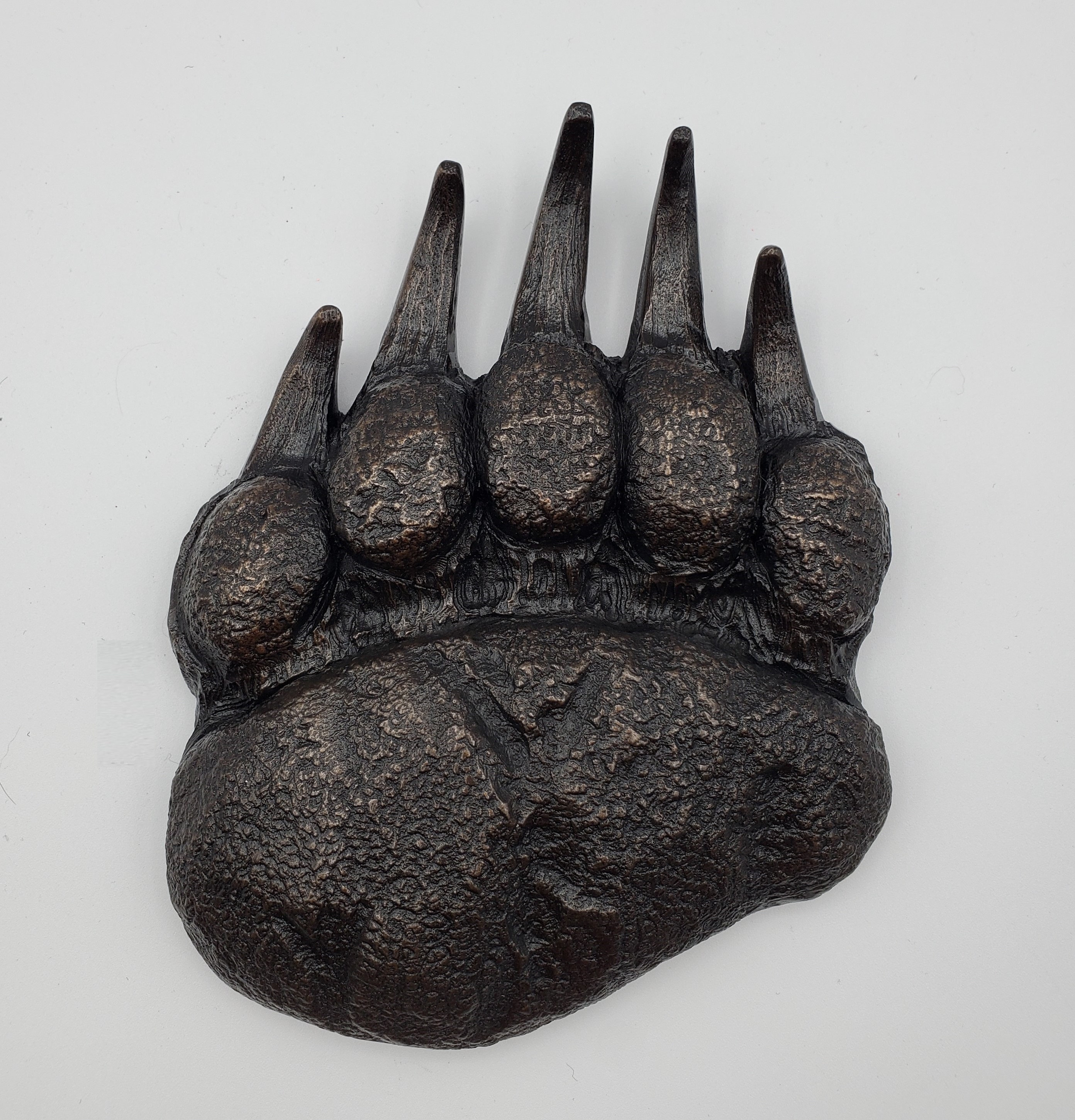 Left Bear Paw - Bear Claw - Bear Track - Cold Cast Bronze - Grizzly ...