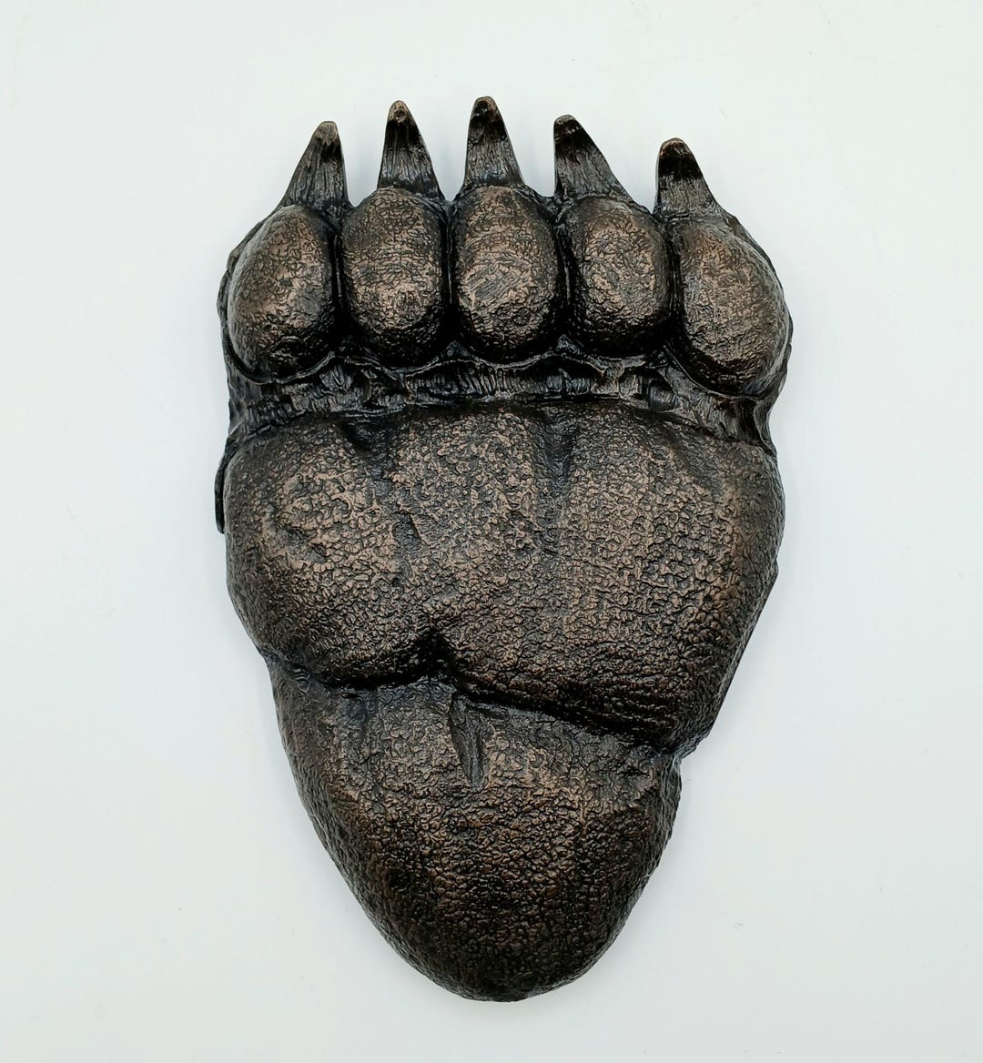 Right Back Bear Paw - Bear Claw - Bear Track - Cold Cast Bronze - Track ...