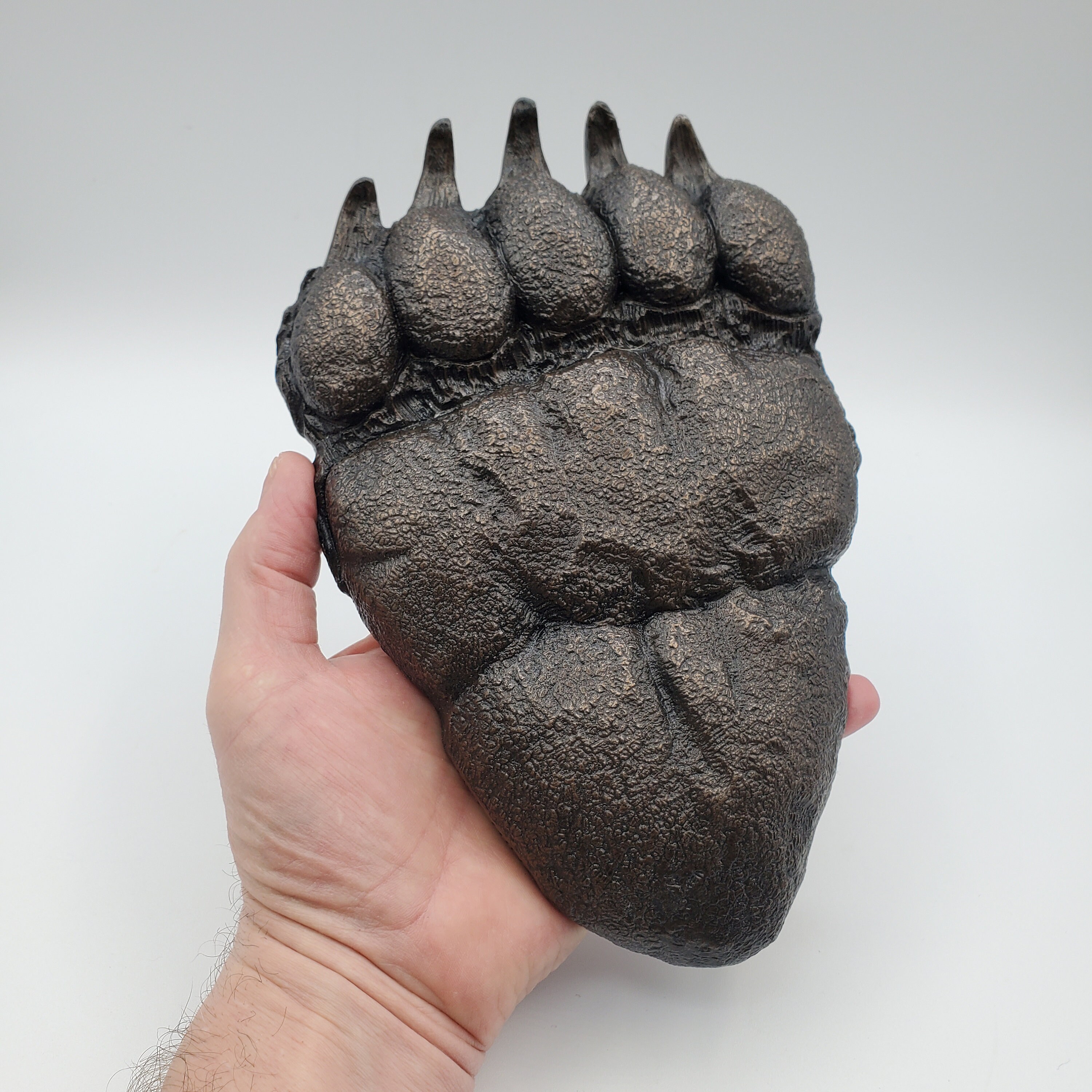 Left Back Bear Paw - Bear Claw - Bear Track - Cold Cast Bronze - Track ...