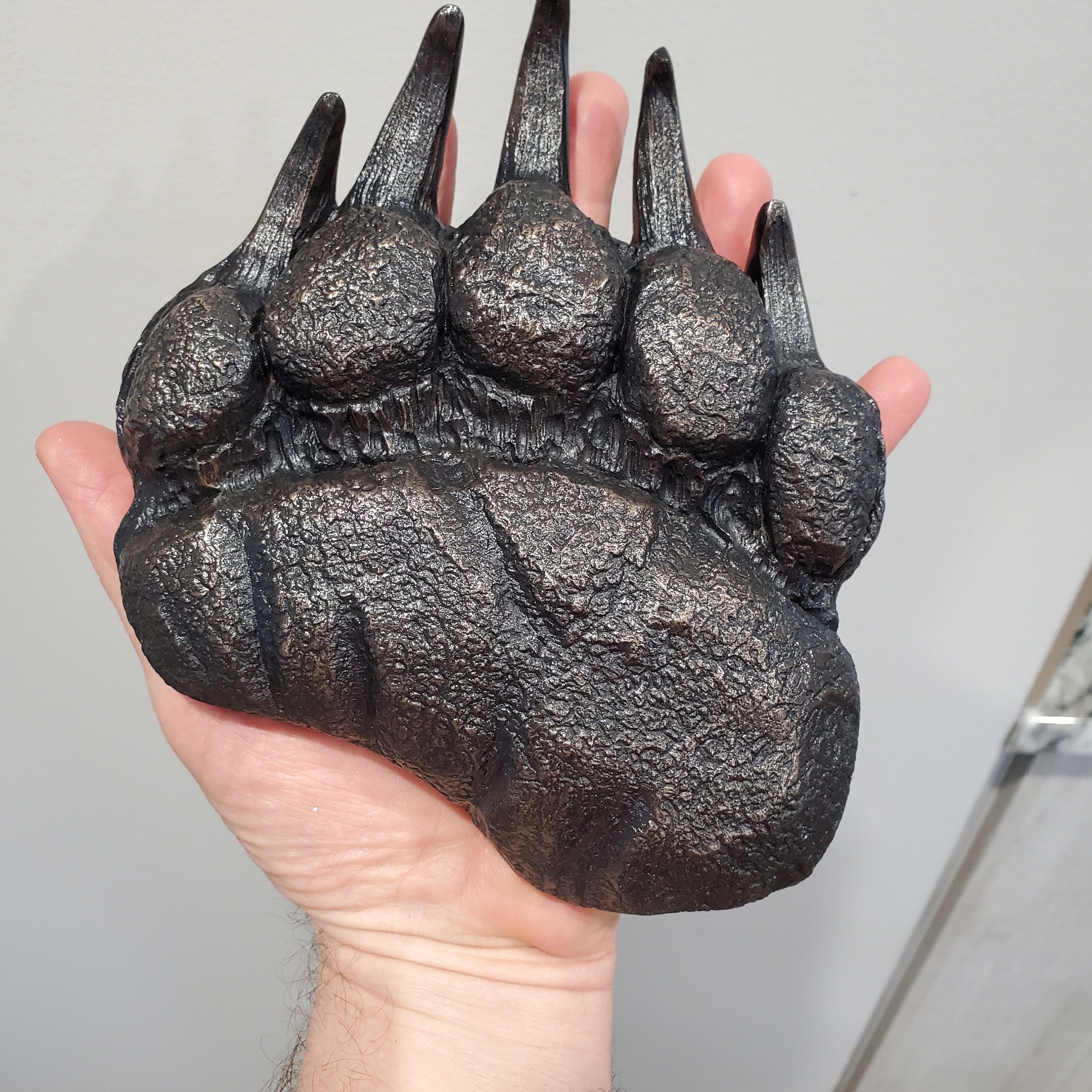 Huella De Pata De Oso Real