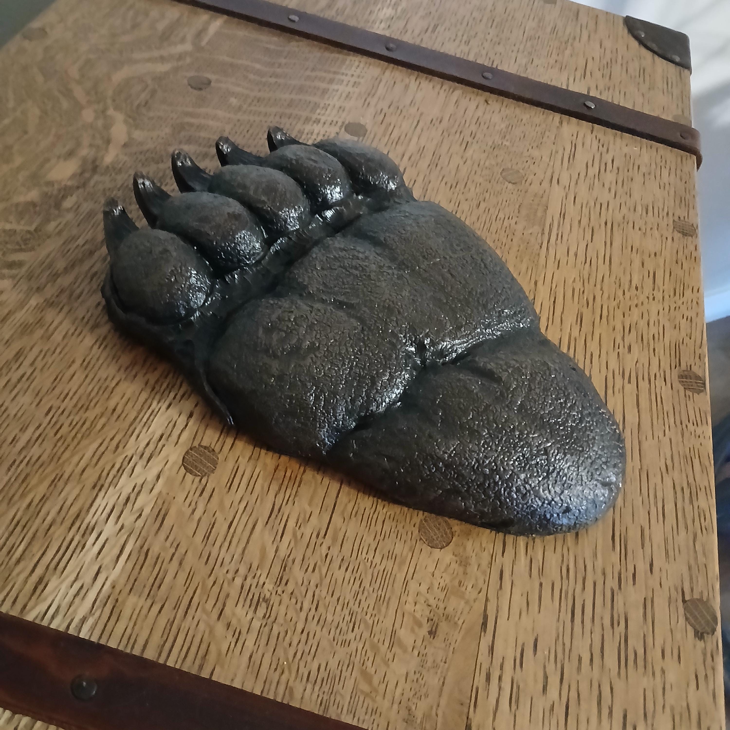 Right Back Bear Paw - Bear Claw - Bear Track - Cold Cast Bronze - Track ...