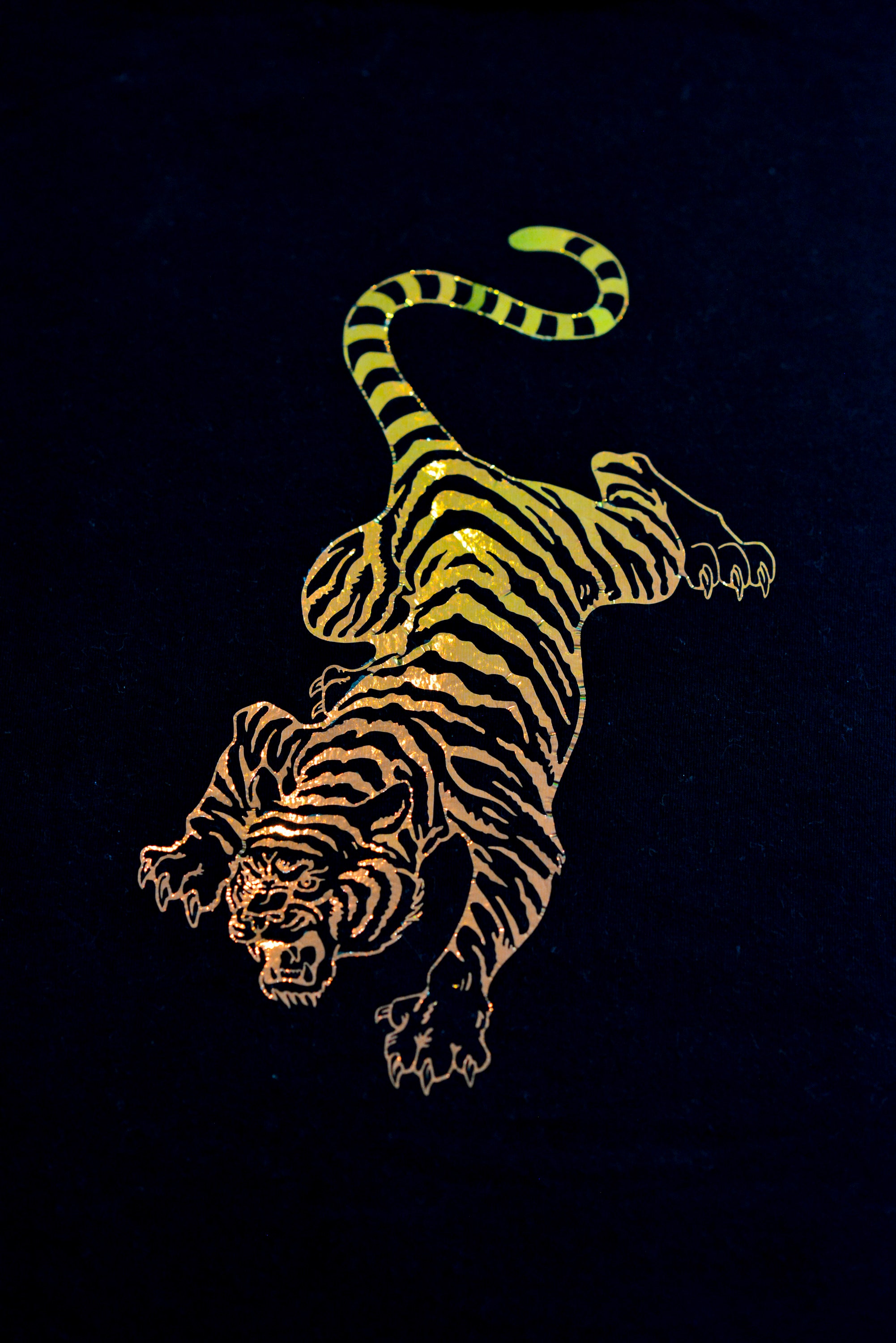 Detailed Tiger Cut File for Cricut/silhouette SVG DWG - Etsy