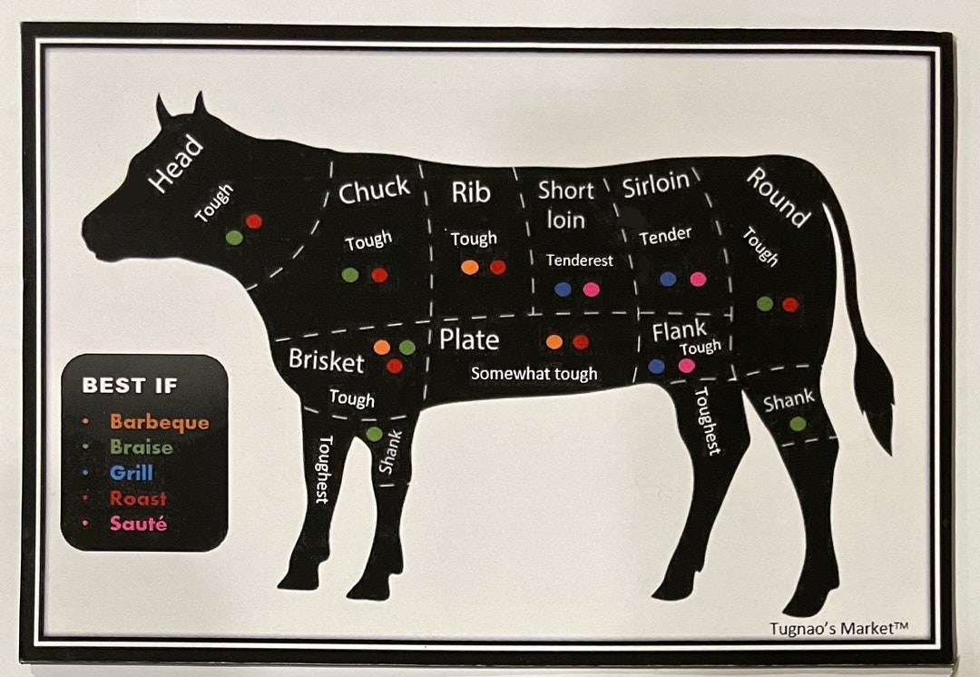 Beef Cut Magnet: Butcher Diagram, Cooking Guide - Etsy