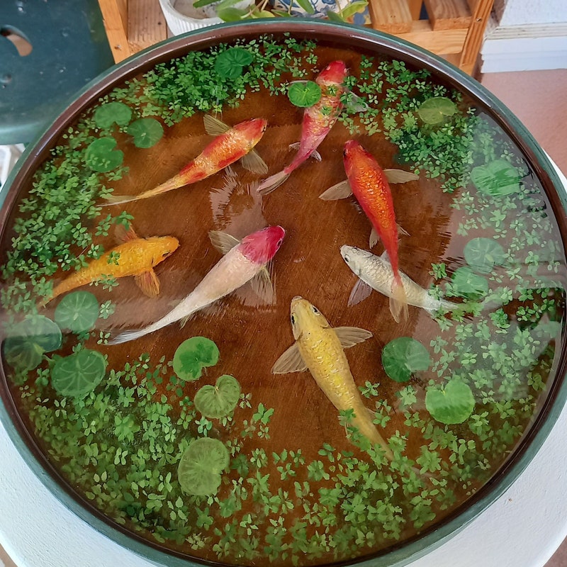 Resin Koi Fish - Etsy