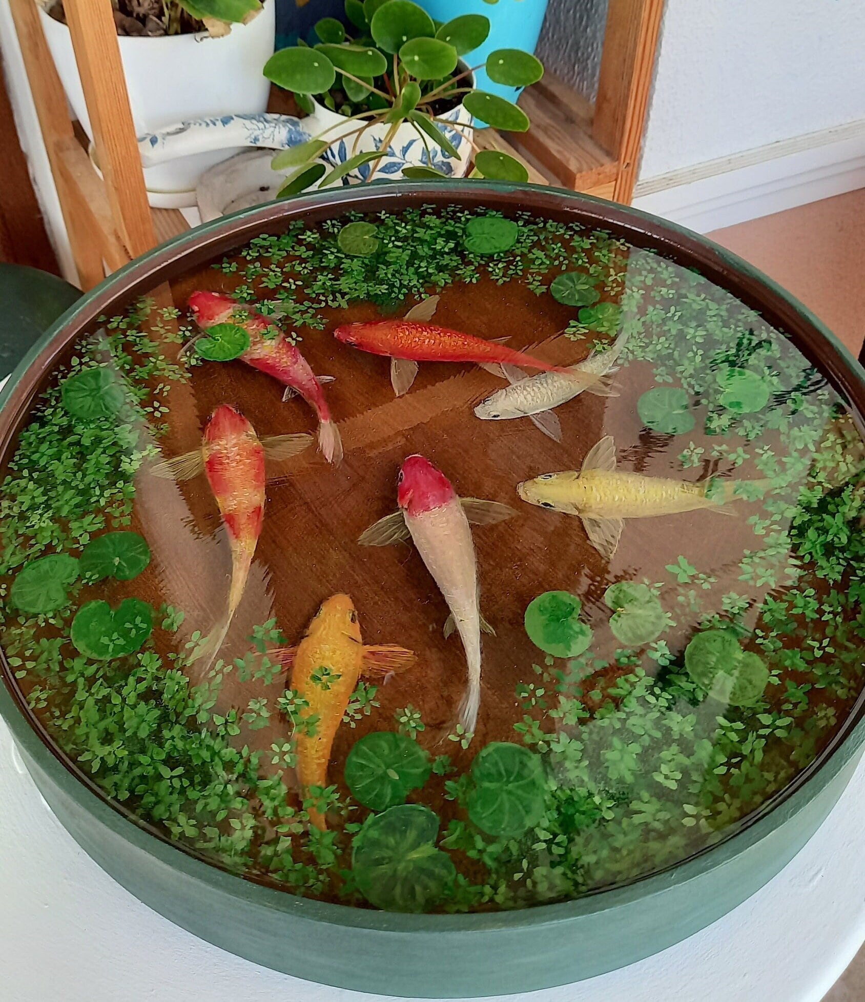 Epoxy Resin 3D Koi Fish Coffee Table, Resin Coffee Table, Handmade 3D ...