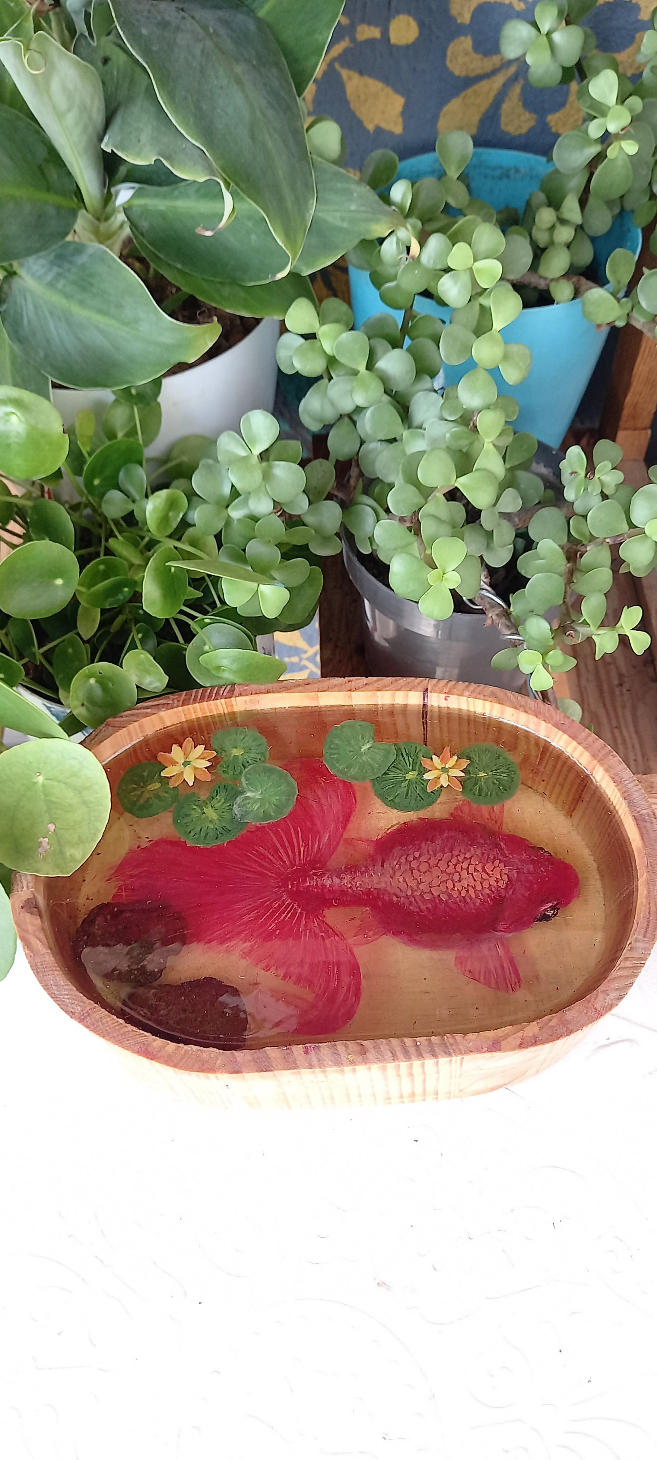 3D Epoxy Resin Goldfish Painting in Oval Wooden Bowl,, Resin Fish ...