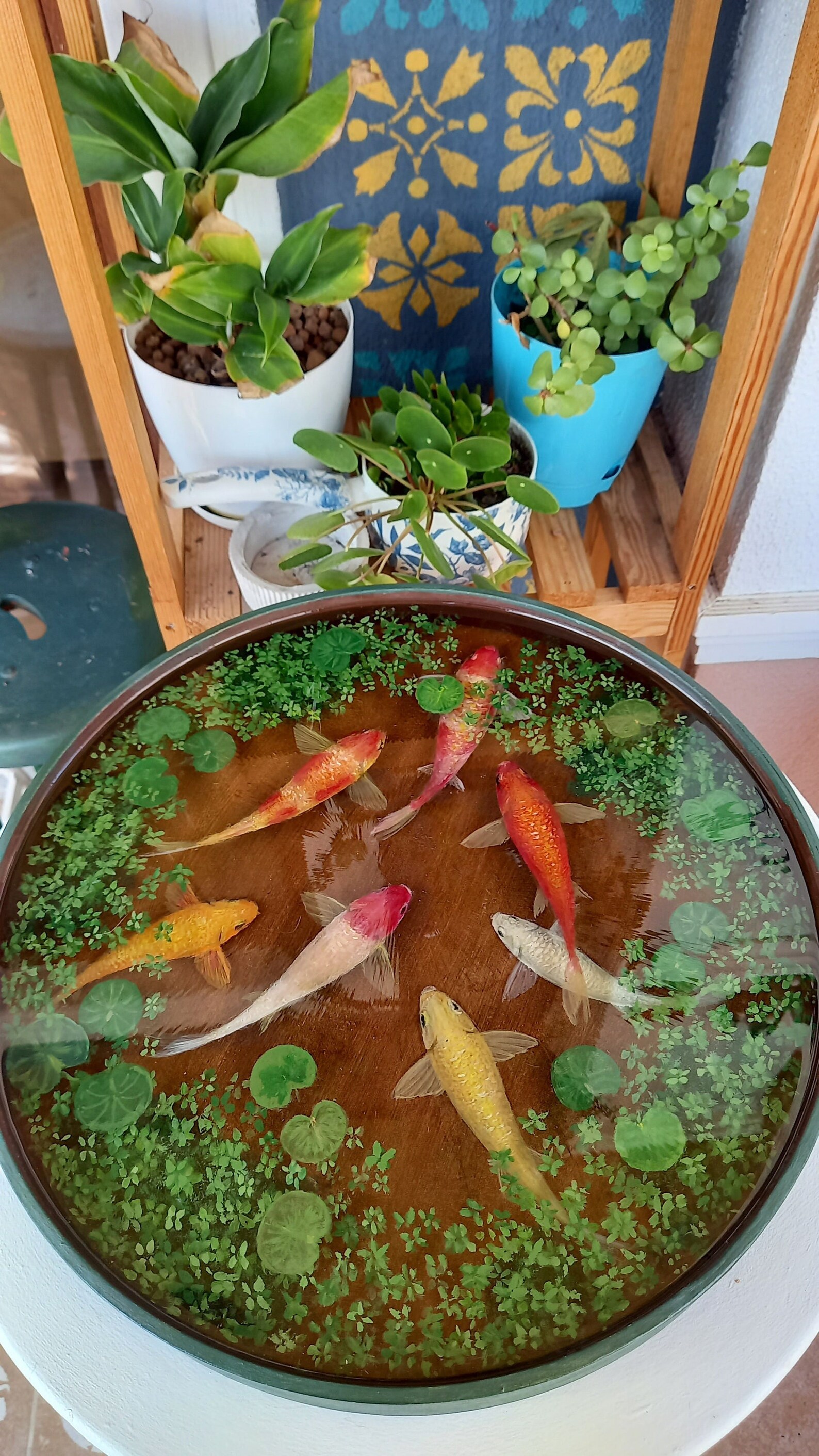 Epoxy Resin 3D Koi Fish Coffee Table, Resin Coffee Table, Handmade 3D ...