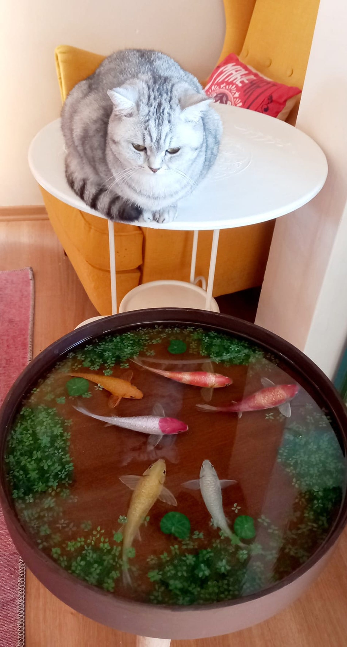 Epoxy Resin 3D Koi Fish Coffee Table, Resin Coffee Table, Handmade 3D ...