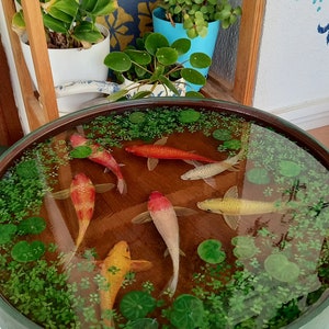 Epoxy Resin 3D Koi Fish Coffee Table, Resin Coffee Table, Handmade 3D ...