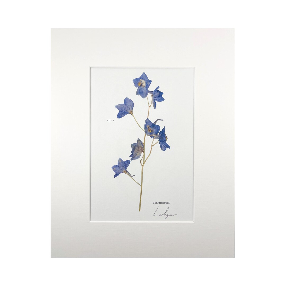 Dried Flower Prints W/ Mat 12x15 - Etsy